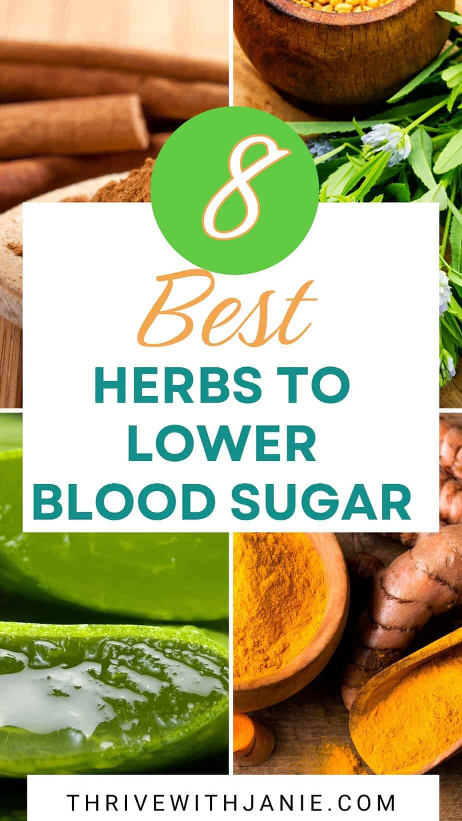 The Best Herbs That Help Lower Blood Sugar - Thrive With Janie